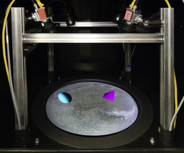 Scientists Built a Virtual Reality 'Holodeck' for Lab Animals | Live ...
