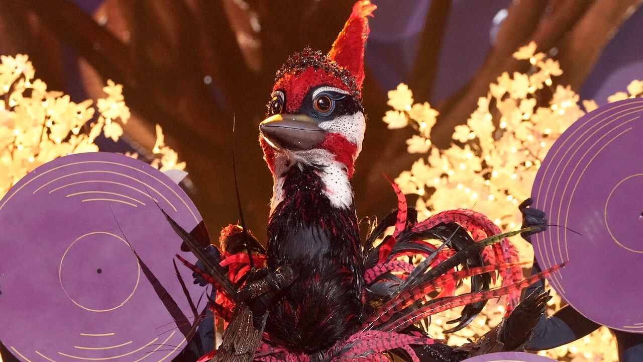 The Masked Singer's Woodpecker Told Us Why They Were Convinced Nick ...