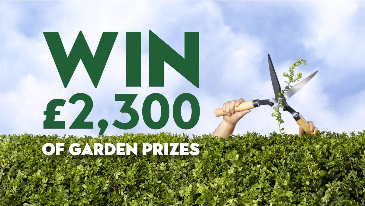 WIN £2,300 of amazing prizes in our garden competition – last chance to ...