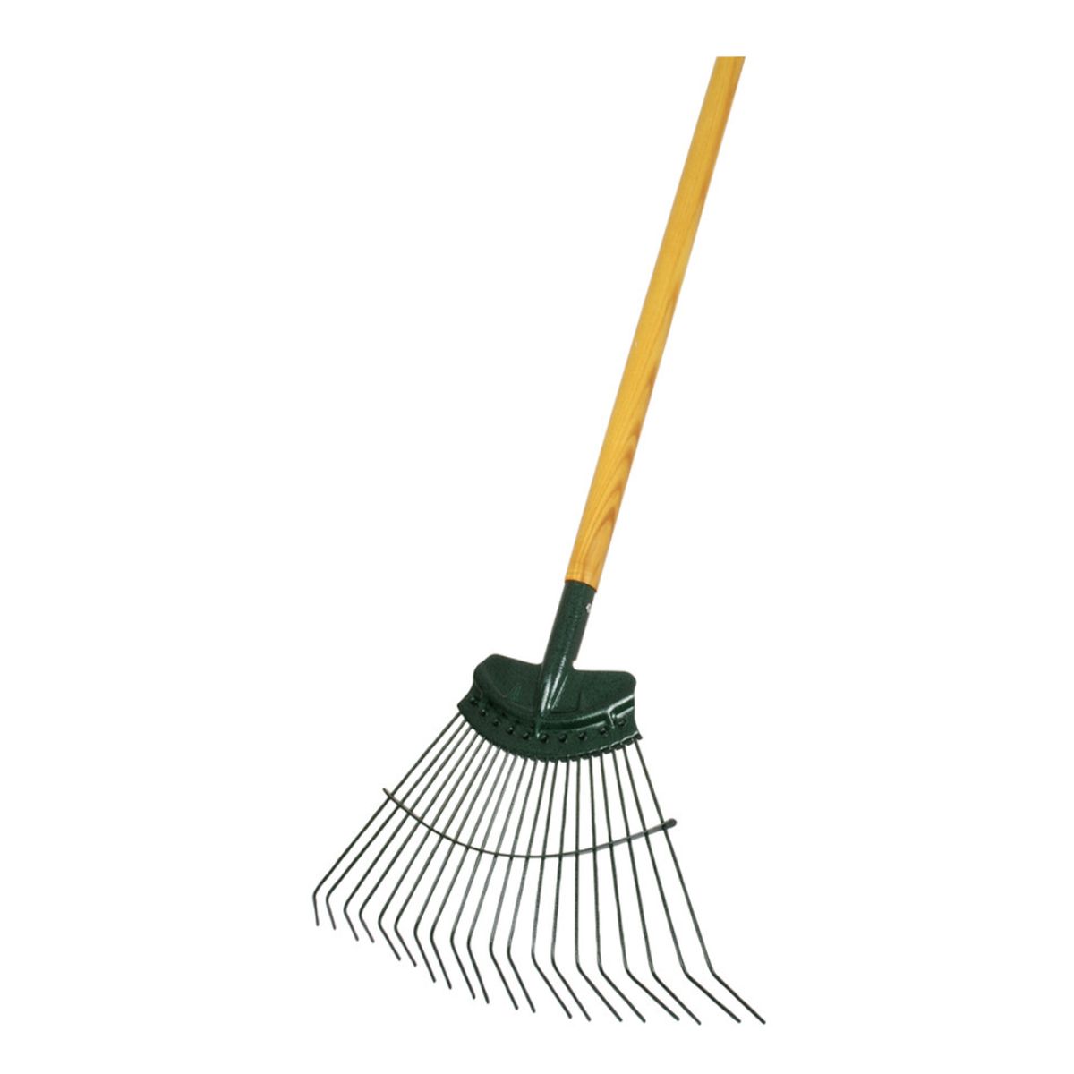 The best time to scarify a lawn according to the experts | Homebuilding