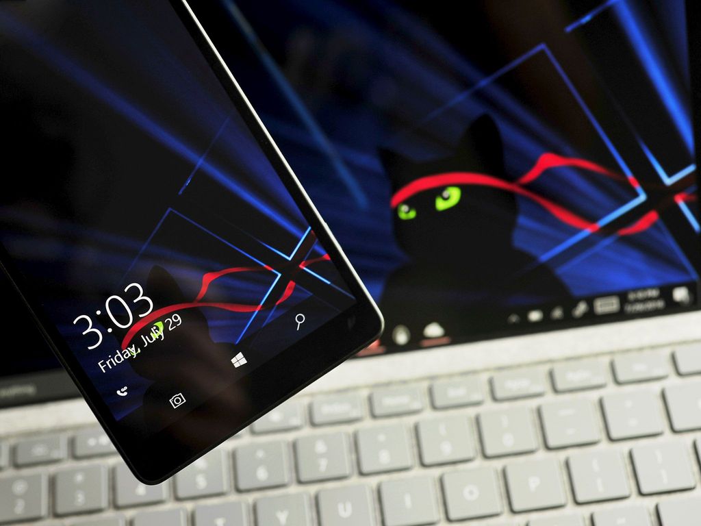 Here is how the Ninjacat came to life | Windows Central