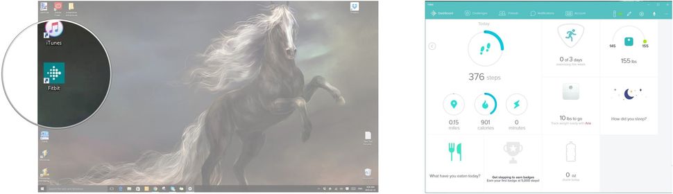 How to use the Dashboard in Fitbit for Windows 10 | Windows Central