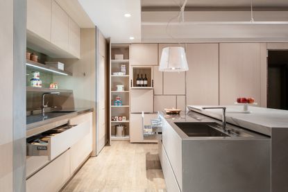 Small space living makes invisible kitchens the most practical (and ...