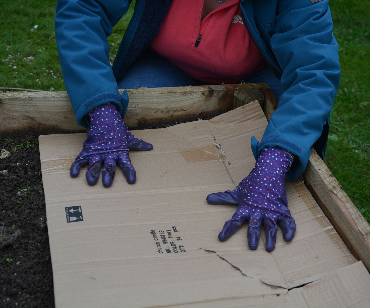 Warming up soil: easy ways to prepare for planting seeds | Homes and ...