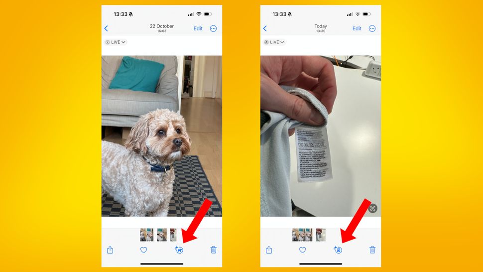 How to use Visual Look Up on iPhone: identify pets, plants, laundry ...