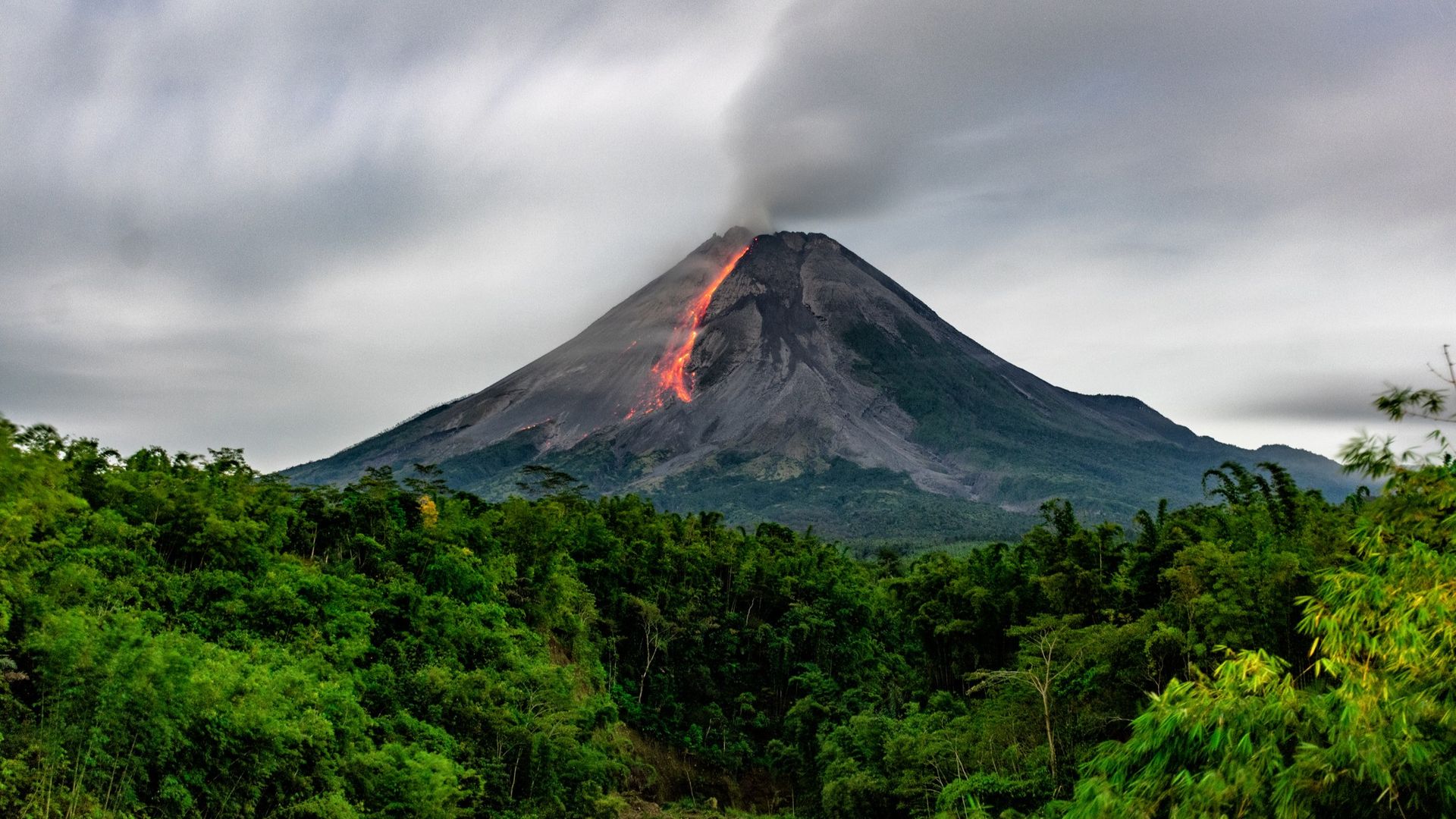 The closer a volcano is to erupting, the greener the trees around it ...