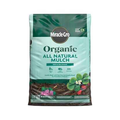 Best mulch for roses: 4 natural options for thriving plants | Homes and ...