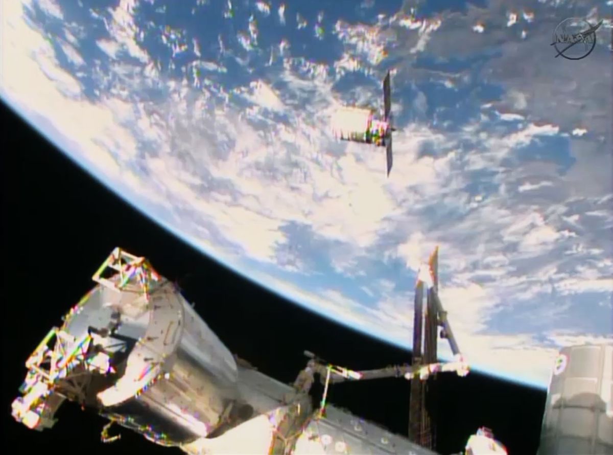 Private Cargo Ship Delivers Gifts, Ants to Space Station Crew | Space