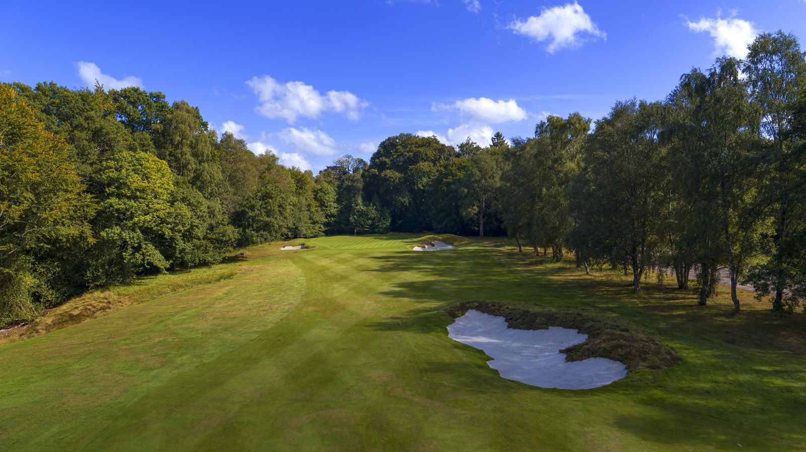 Liphook Golf Club: Course Review, Green Fees, Tee Times and Key Info ...