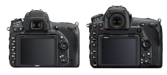 Nikon D750 vs Nikon D850: what's the difference? | Digital Camera World