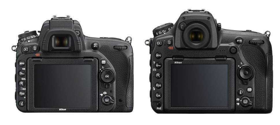 Nikon D750 vs Nikon D850: what's the difference? | Digital Camera World