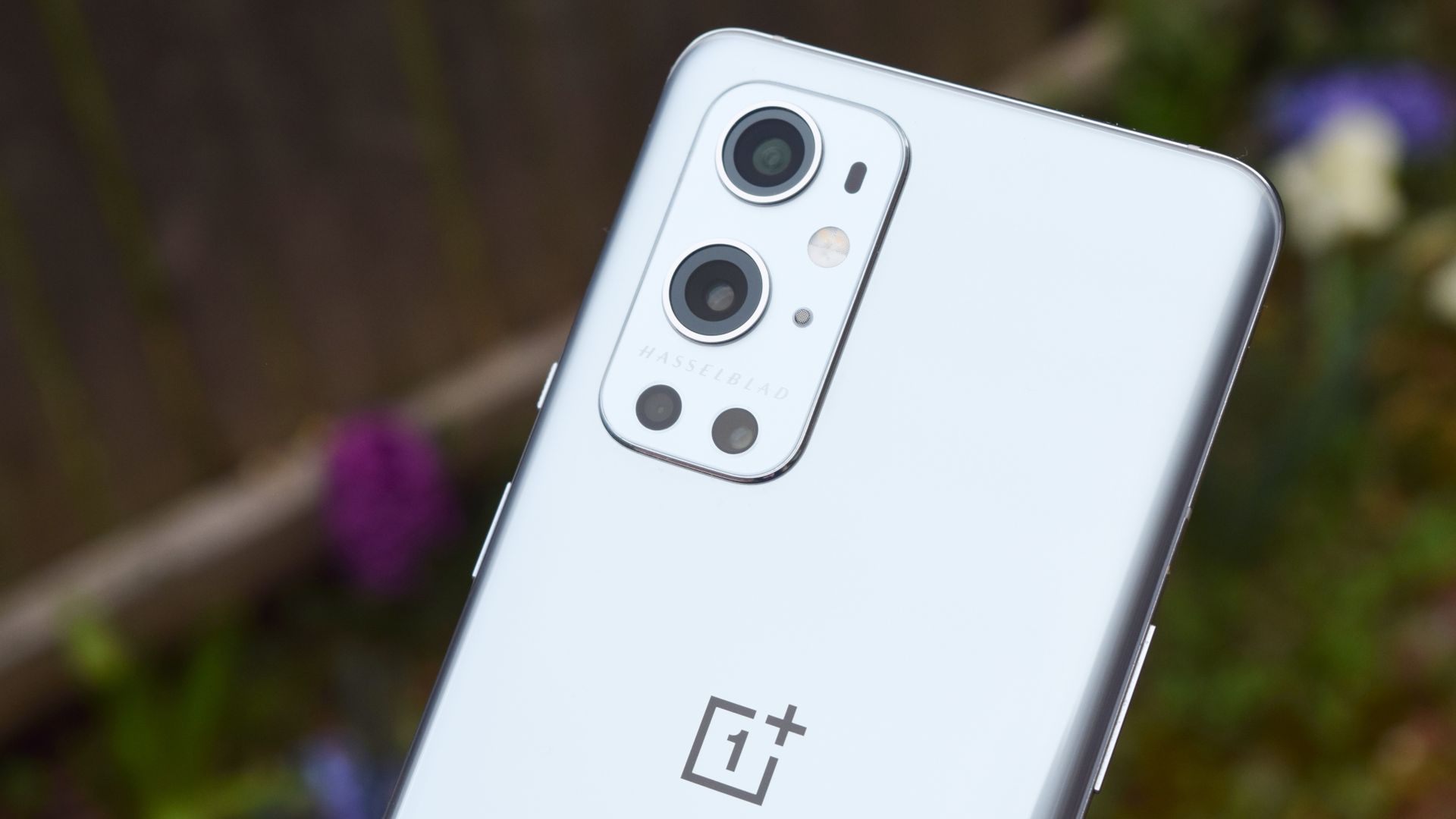 OnePlus 9T not dead? OnePlus Twitter tease just gave us hope | Tom's Guide