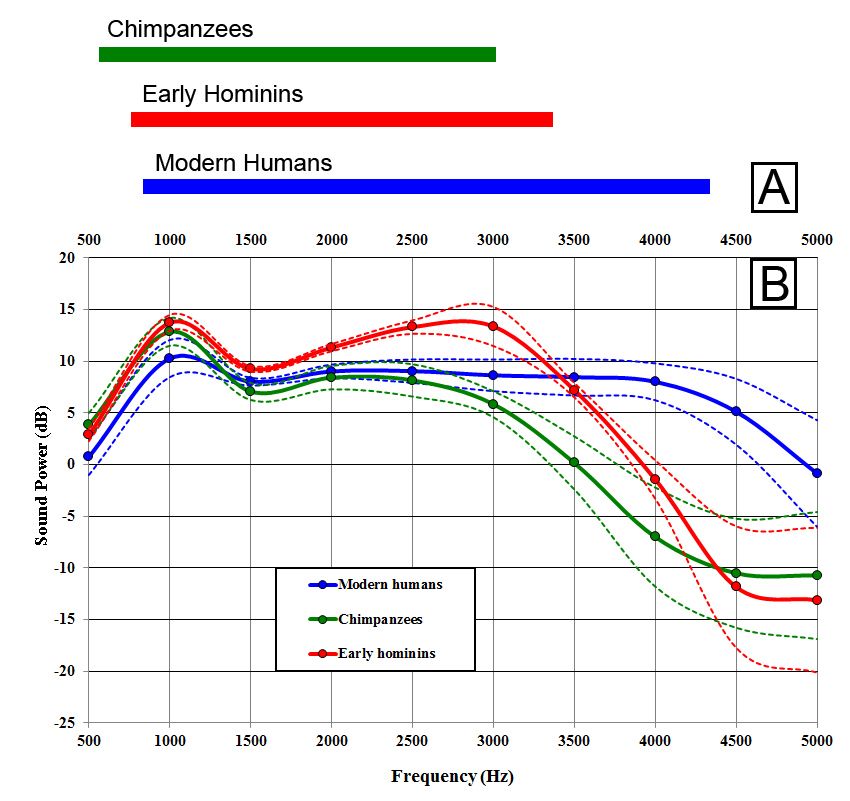 All Ears! What Human Ancestors' Hearing Was Like | Live Science