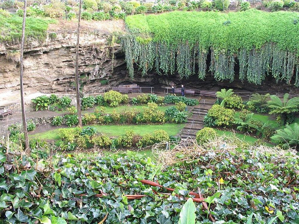 Gallery: First Red List of Endangered Ecosystems | Live Science