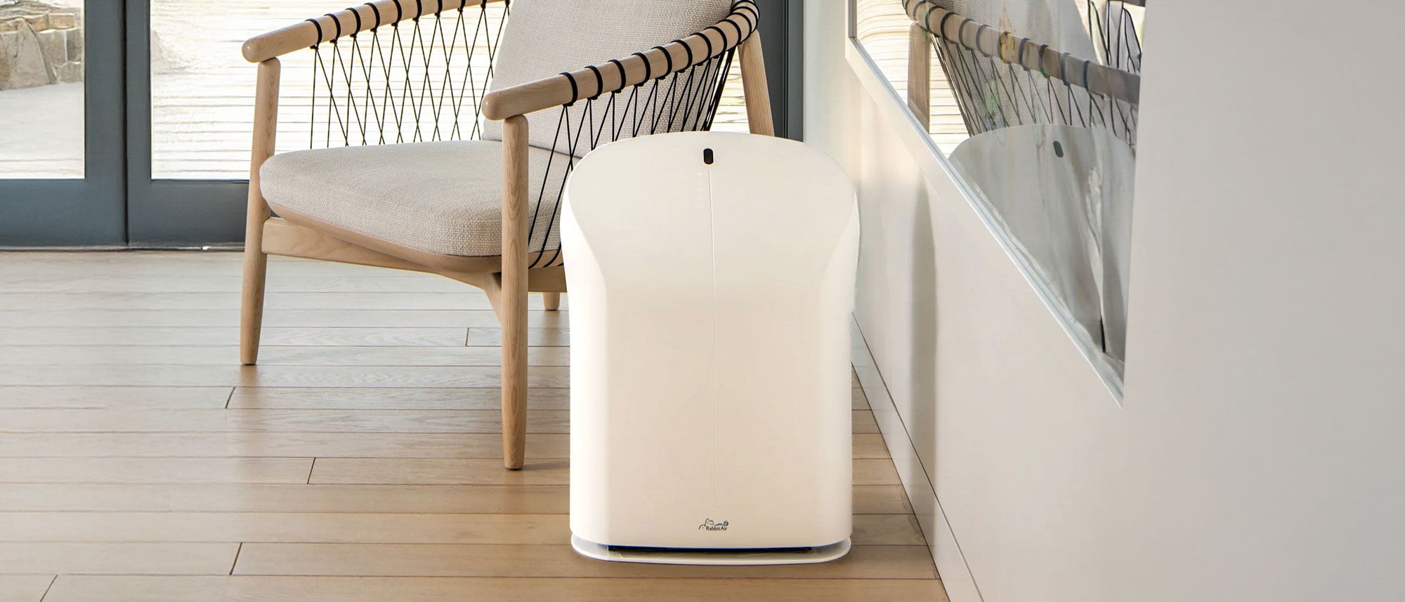 The Rabbit Air BioGS air purifier may be cheap, but it's quietly ...