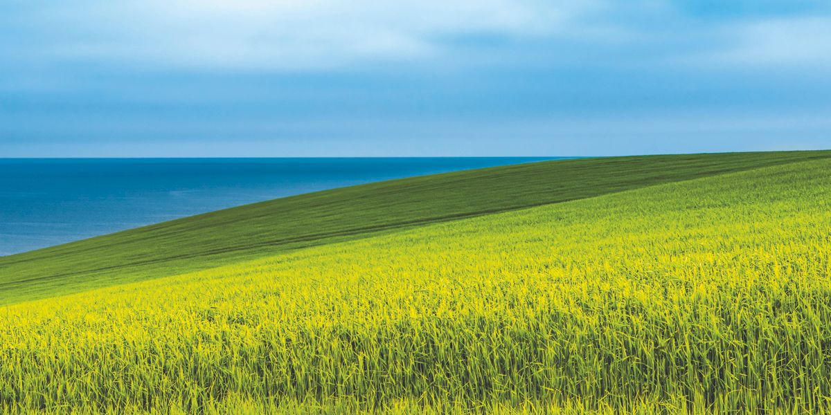 Learn how to unlock stunning natural colors in your photos | Digital ...