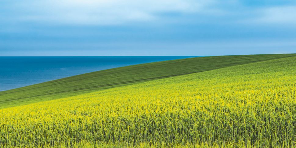 Learn how to unlock stunning natural colors in your photos | Digital ...