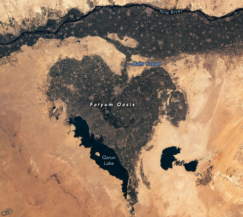 Astronauts spot an ancient heart-shaped oasis in Egypt just in time for ...