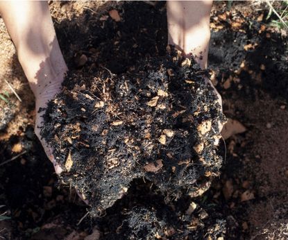 How to speed up composting: 7 expert methods | Homes and Gardens