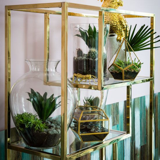succulent and cactus displays | Ideal Home