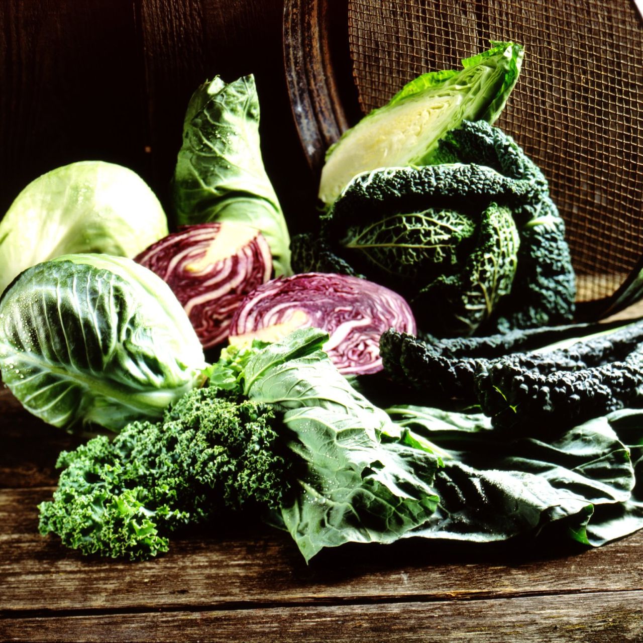 Tips & Information about Cabbage | Gardening Know How
