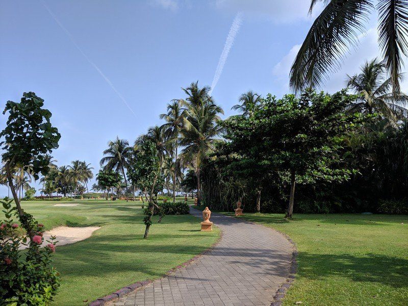 Here are our first Pixel 3a XL camera samples | Android Central