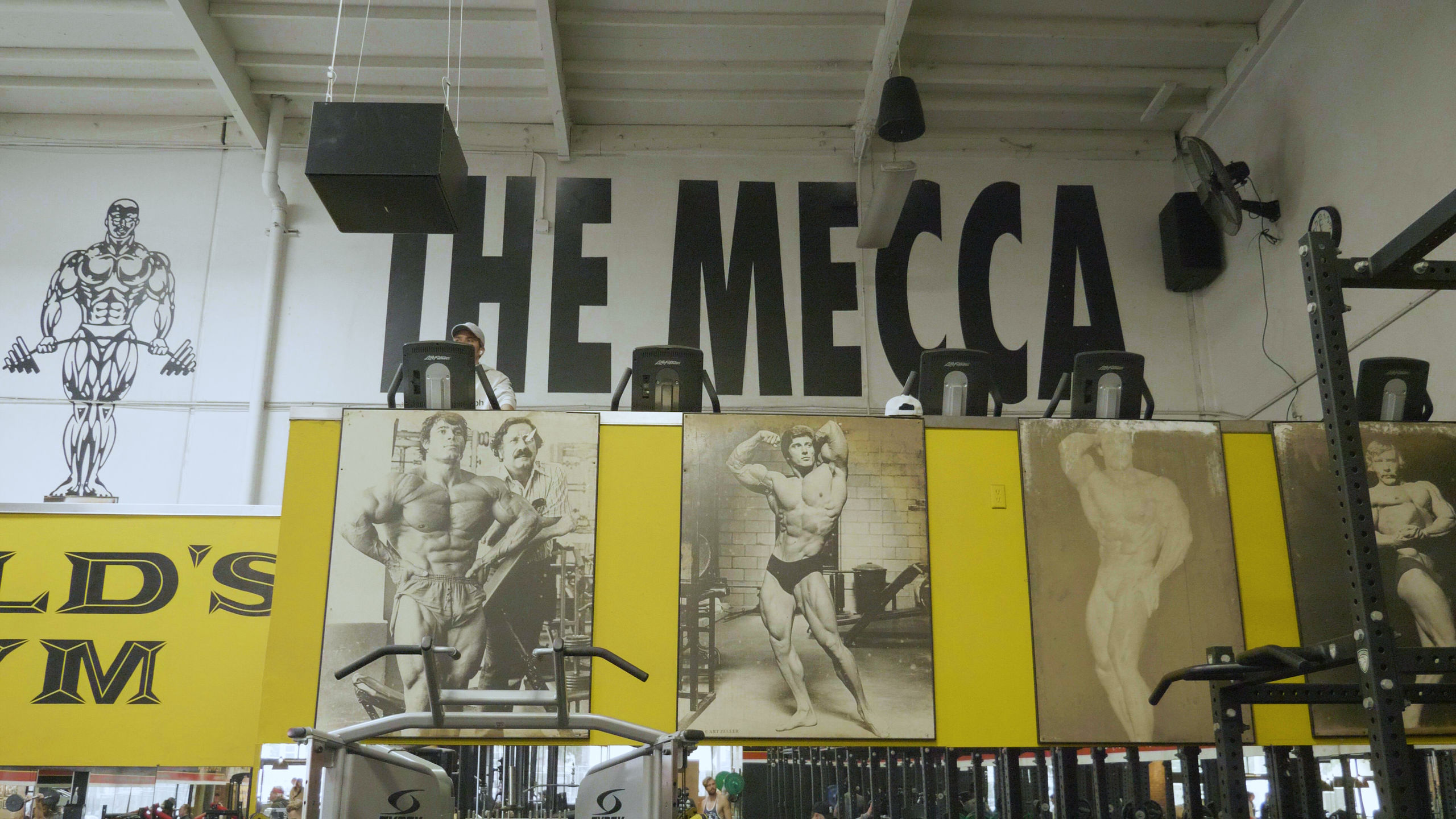 Gold’s Gym, Venice Beach: Integrating a Modern Sound System into an ...