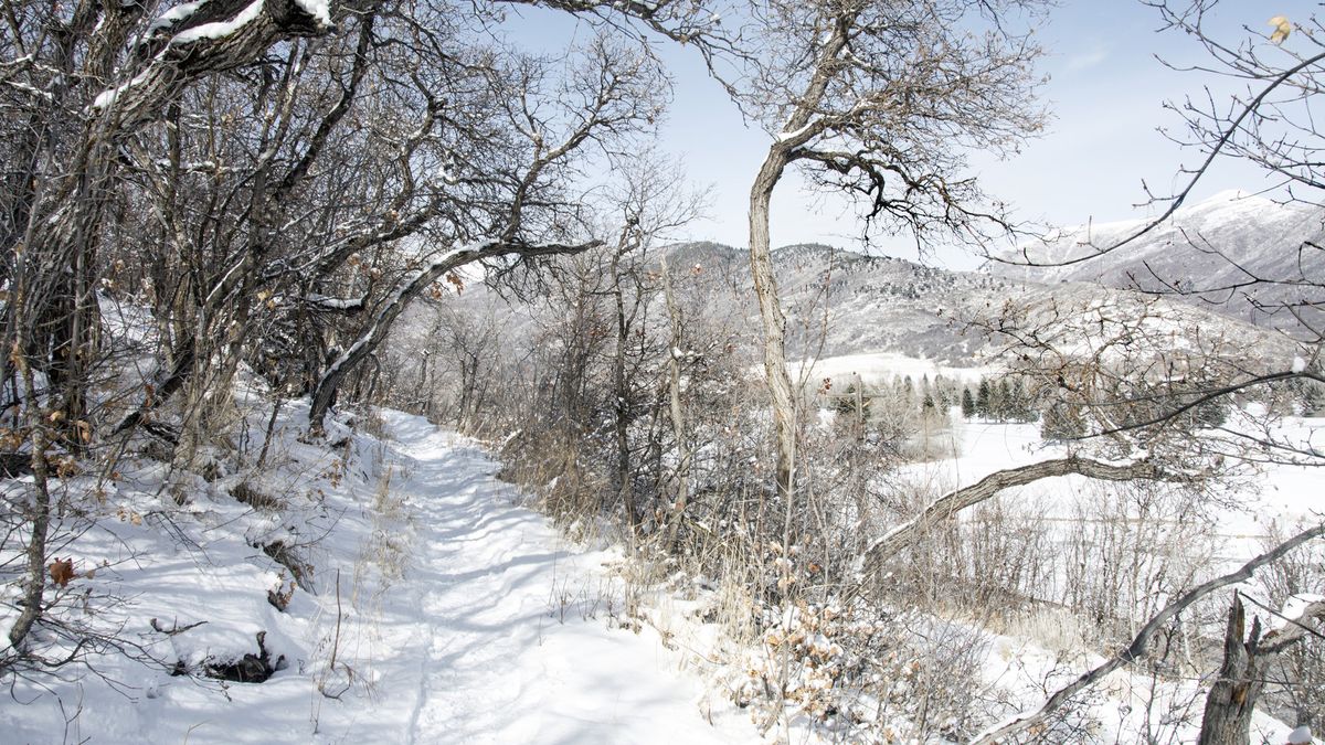 Snowshoeing in Utah: snow capped canyon adventure | Advnture