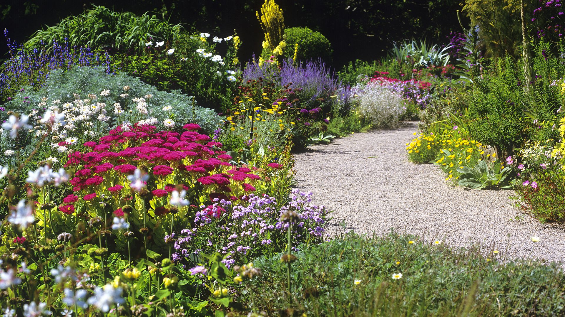 Mediterranean gardens: design ideas and planting tips for a bright ...
