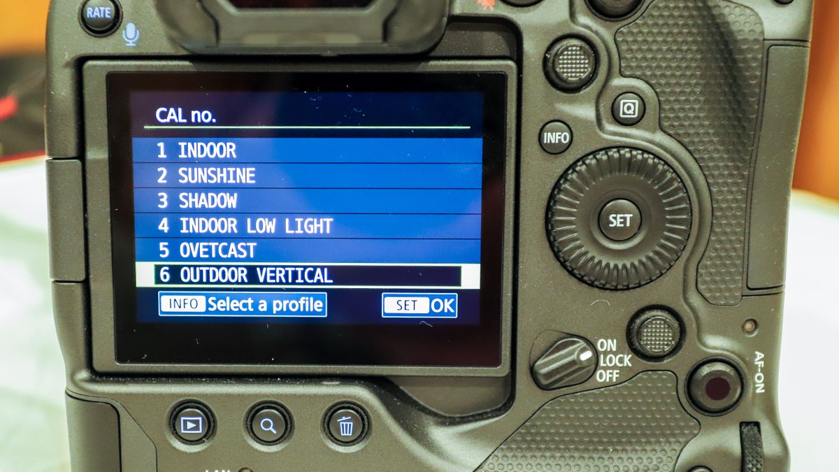 Canon EOS R3’s Eye Control AF could be the future of autofocus, but it ...