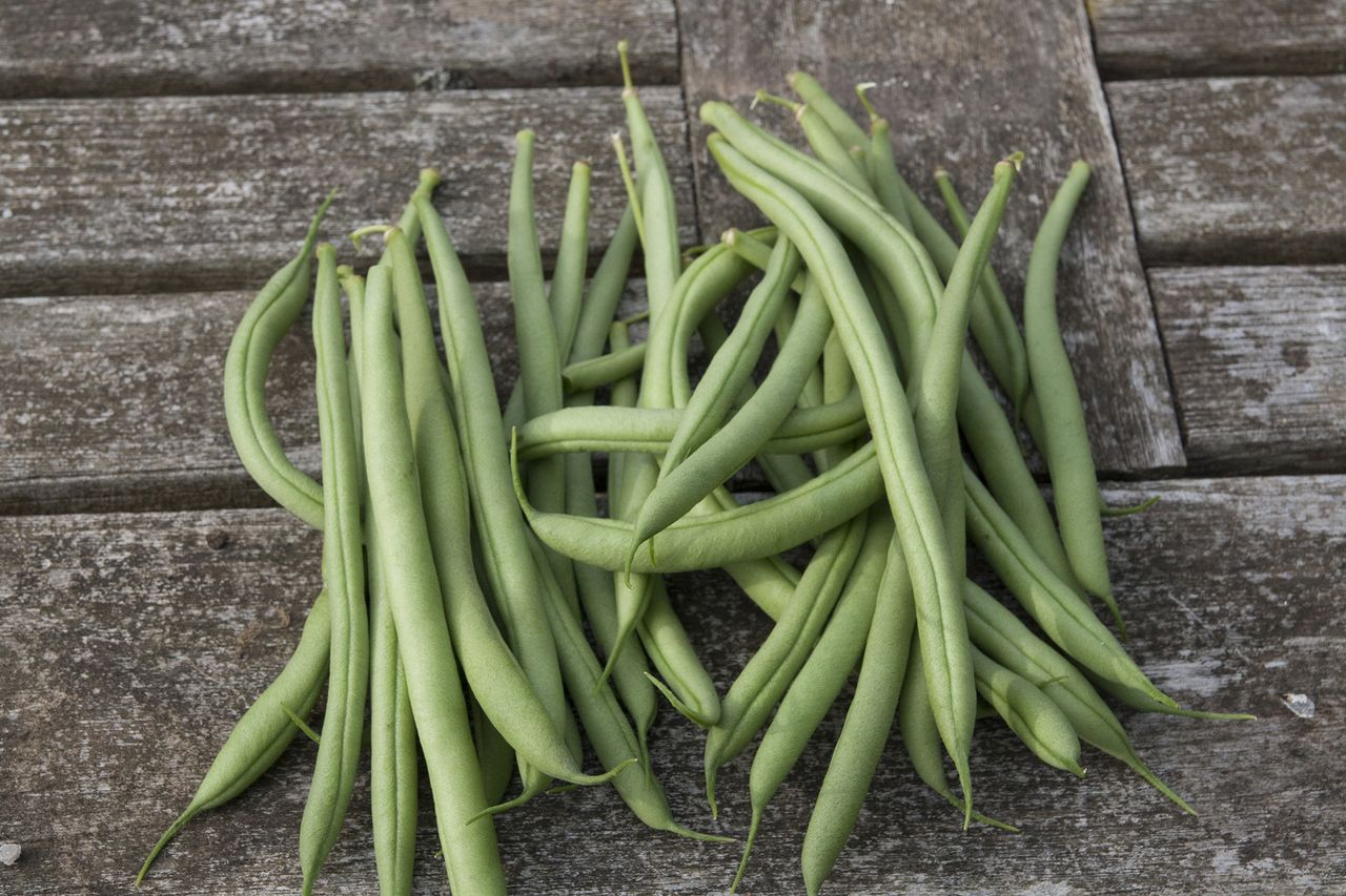 How to grow French beans | Homes and Gardens