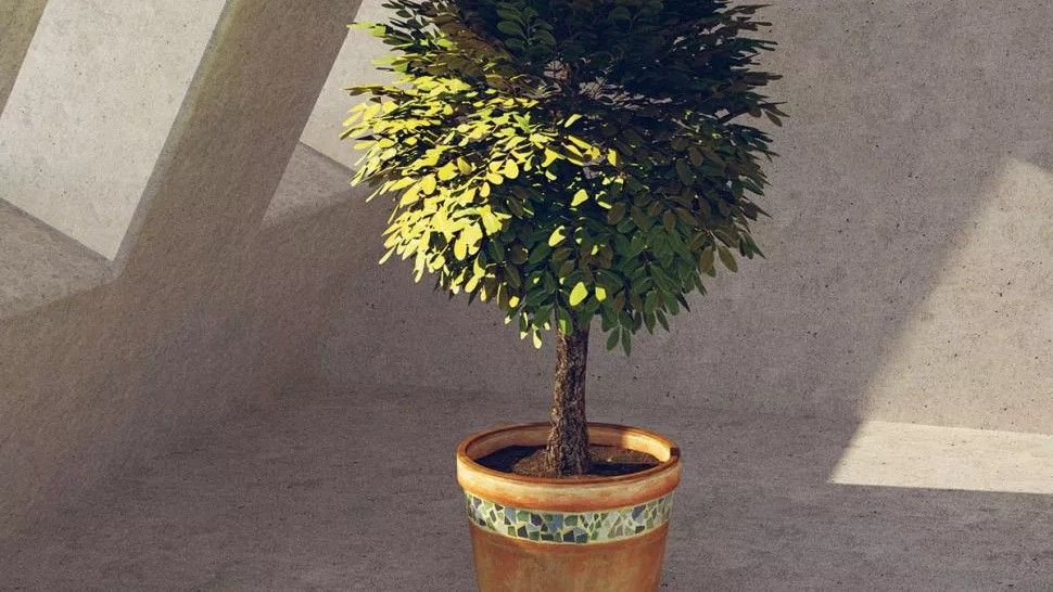 The 16 best Cinema 4D tutorials | Creative Bloq