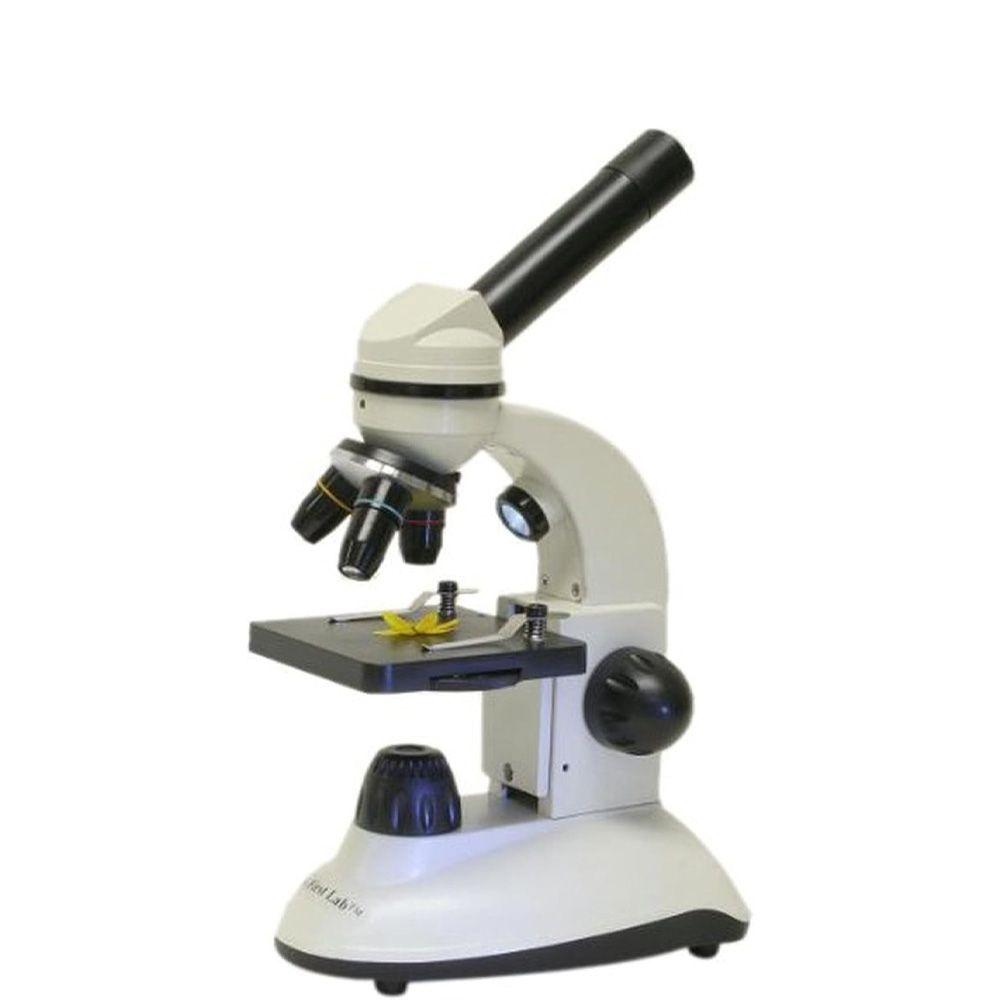 Best microscopes for kids 2025 | Live Science