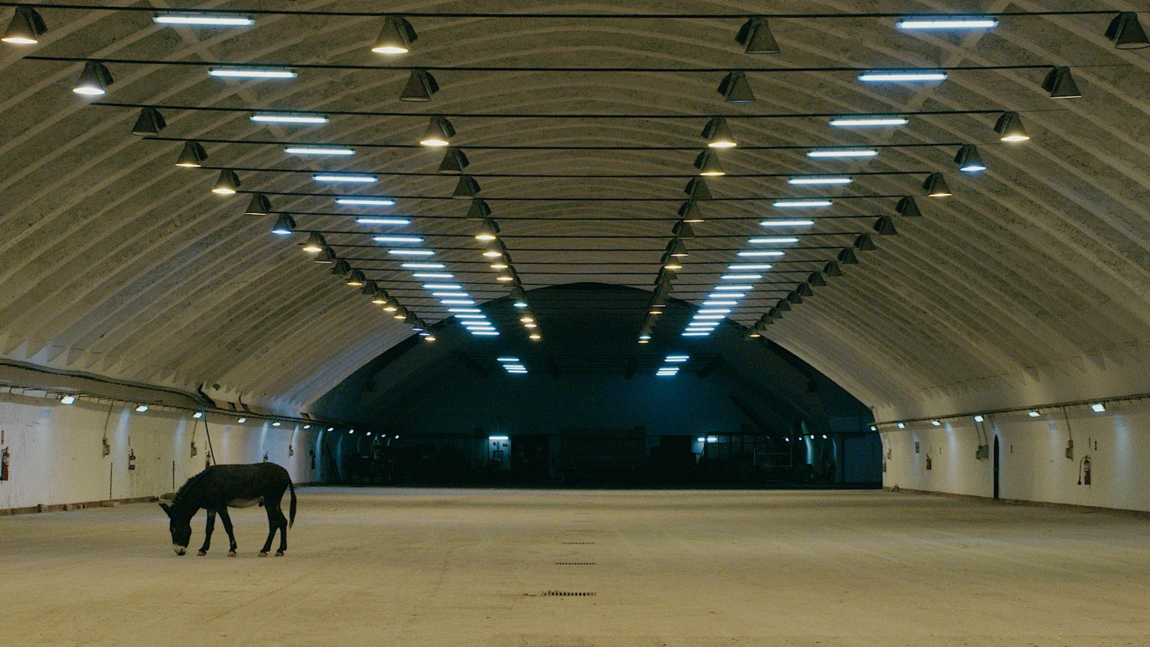 Fondazione In Between Art Film launches in Venice | Wallpaper