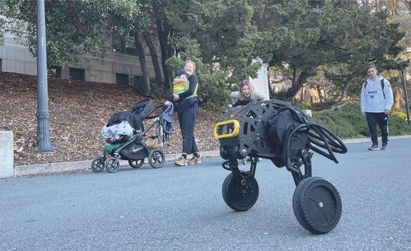 Self-Balancing Raspberry Pi Robot Features Wheeled Legs | Tom's Hardware