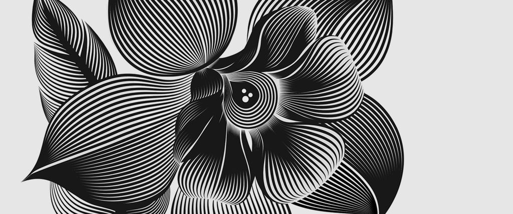 Intermediate vector art tutorials - The best vector art tutorials ...