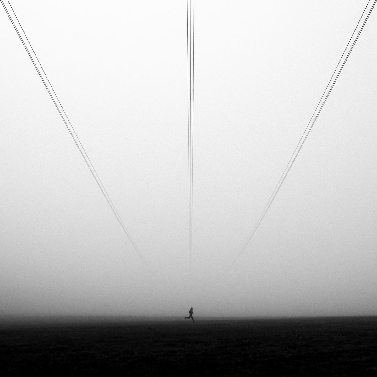 Man's best friend on a misty morning lands top prize in Canon Redline ...