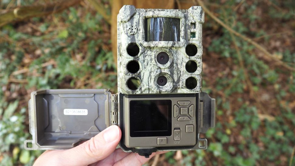 Bushnell Core DS-4K No Glow trail camera review | Digital Camera World