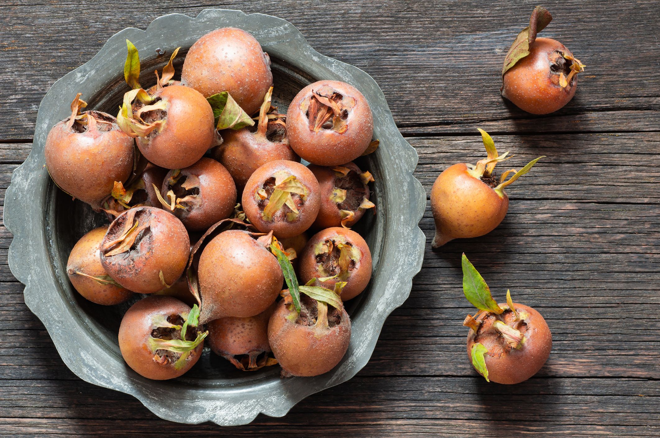 Curious Questions: The mystery of the medlar, the British fruit once as ...