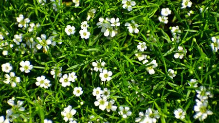 Artex ceilings: What is Artex and how do you get rid of it? | Homebuilding