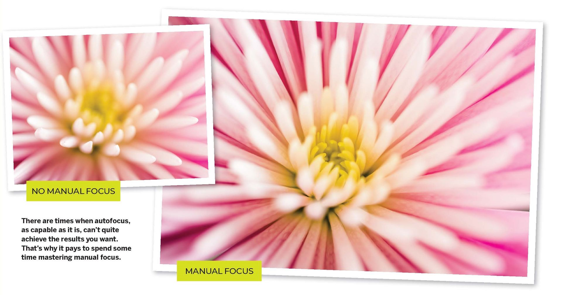 How to master manual focus | Digital Camera World
