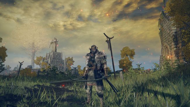 Elden Ring dexterity builds guide | PC Gamer