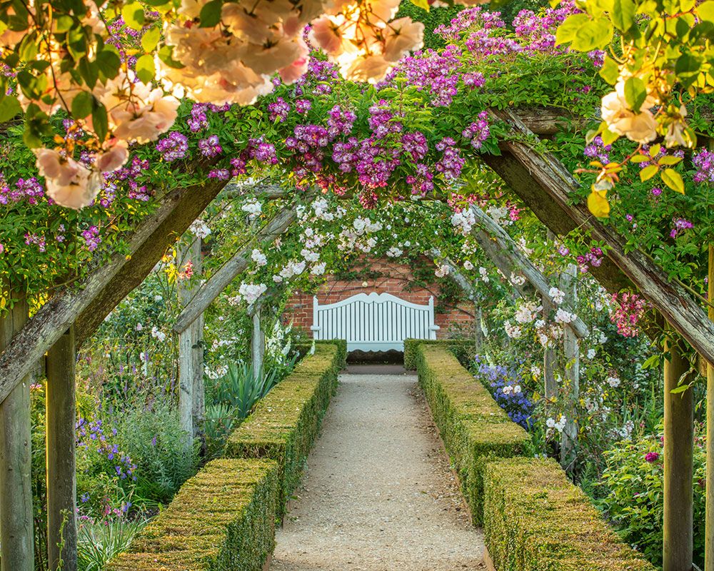 Our favourite National Trust gardens that you can visit all year-round ...
