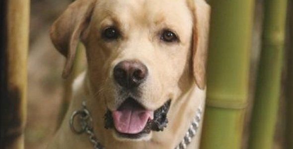 The 10 Best Moments Of The Lost Finale, And The Five Worst | Cinemablend