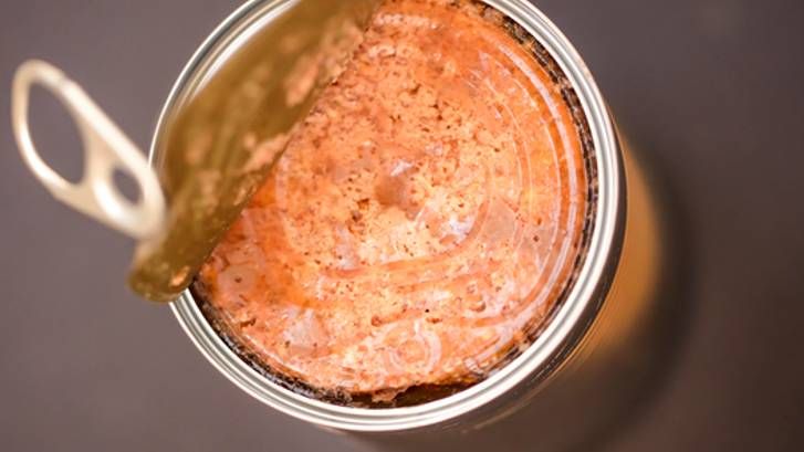 Dog food ingredients explained: A vet's guide to reading a dog food ...