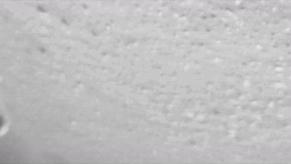 Ingenuity Mars helicopter spots debris on leg on latest flight | Space