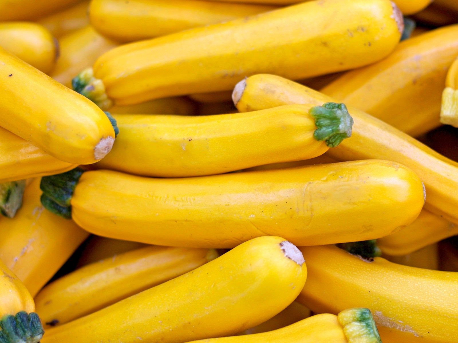 Sweetest Squash Varieties: 6 Of The Best For Every Edible Garden ...