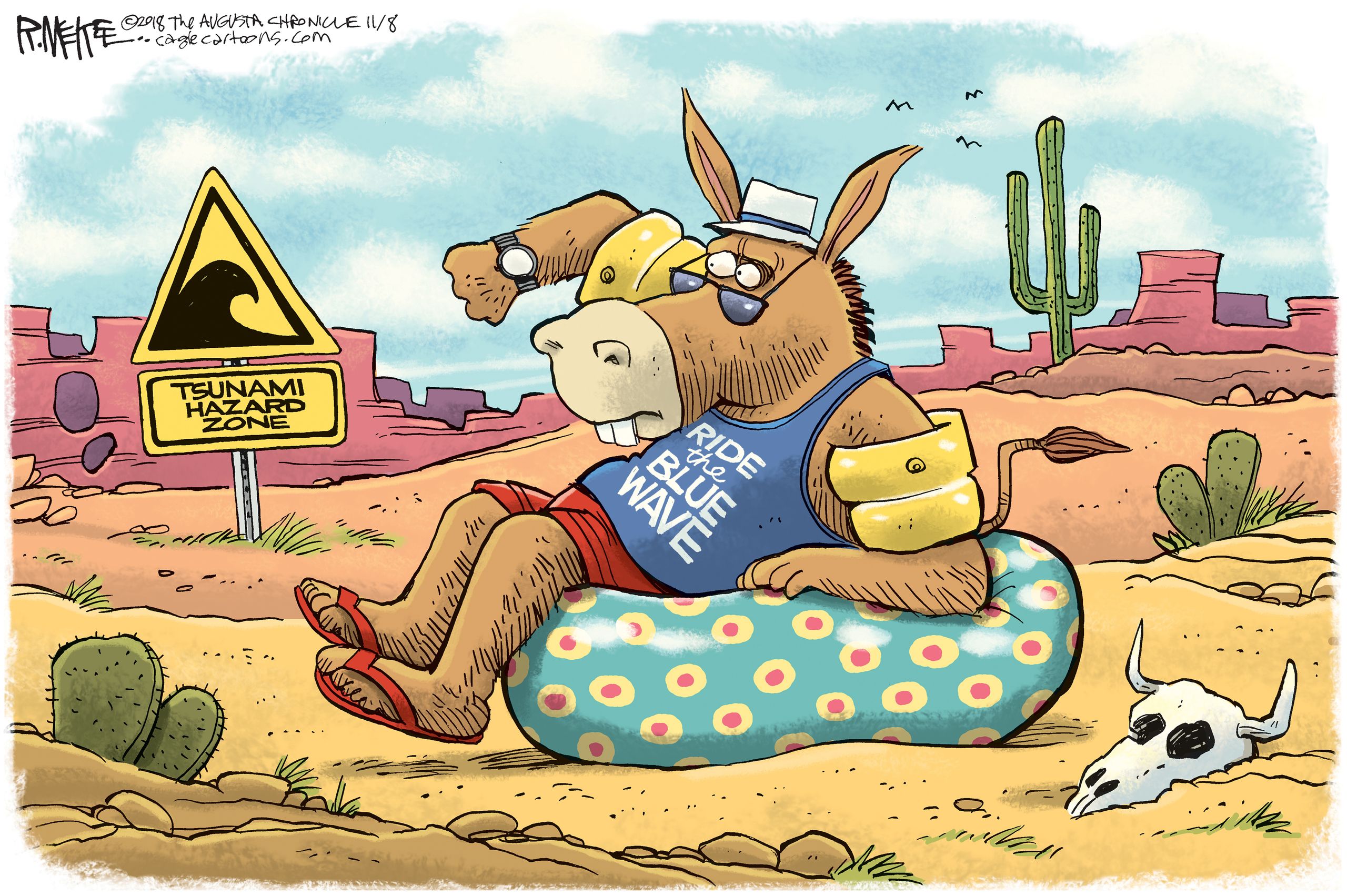 U.S. Midterm elections democrats blue wave | The Week