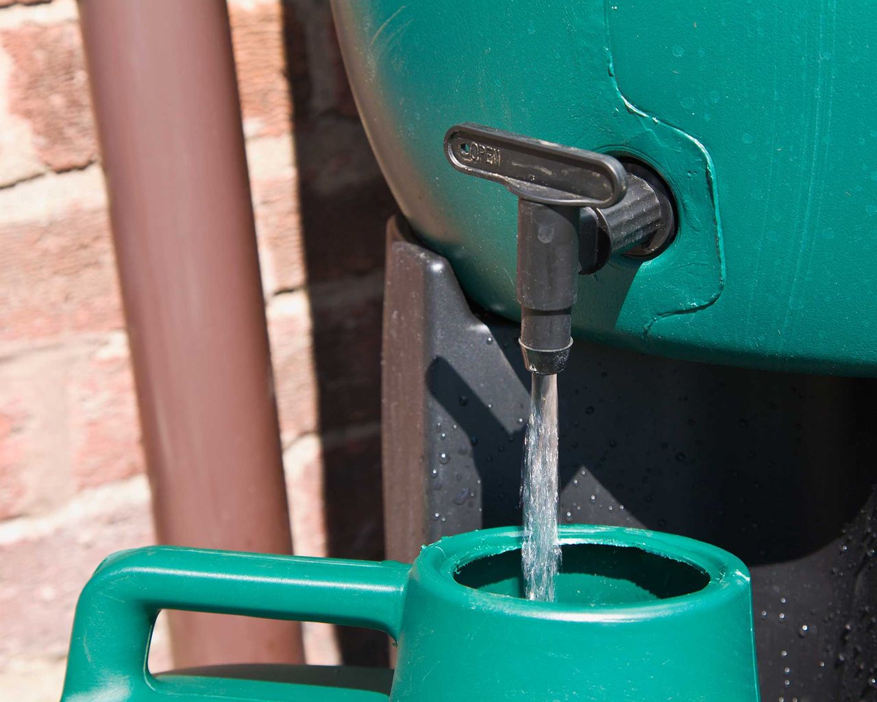 How to collect rainwater: 5 ways to save and re-use rainfall | Gardeningetc