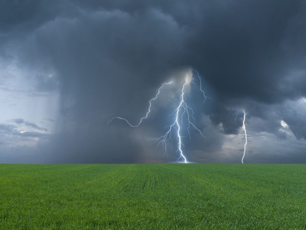 Does Lightning Help Plants Grow? | Gardening Know How